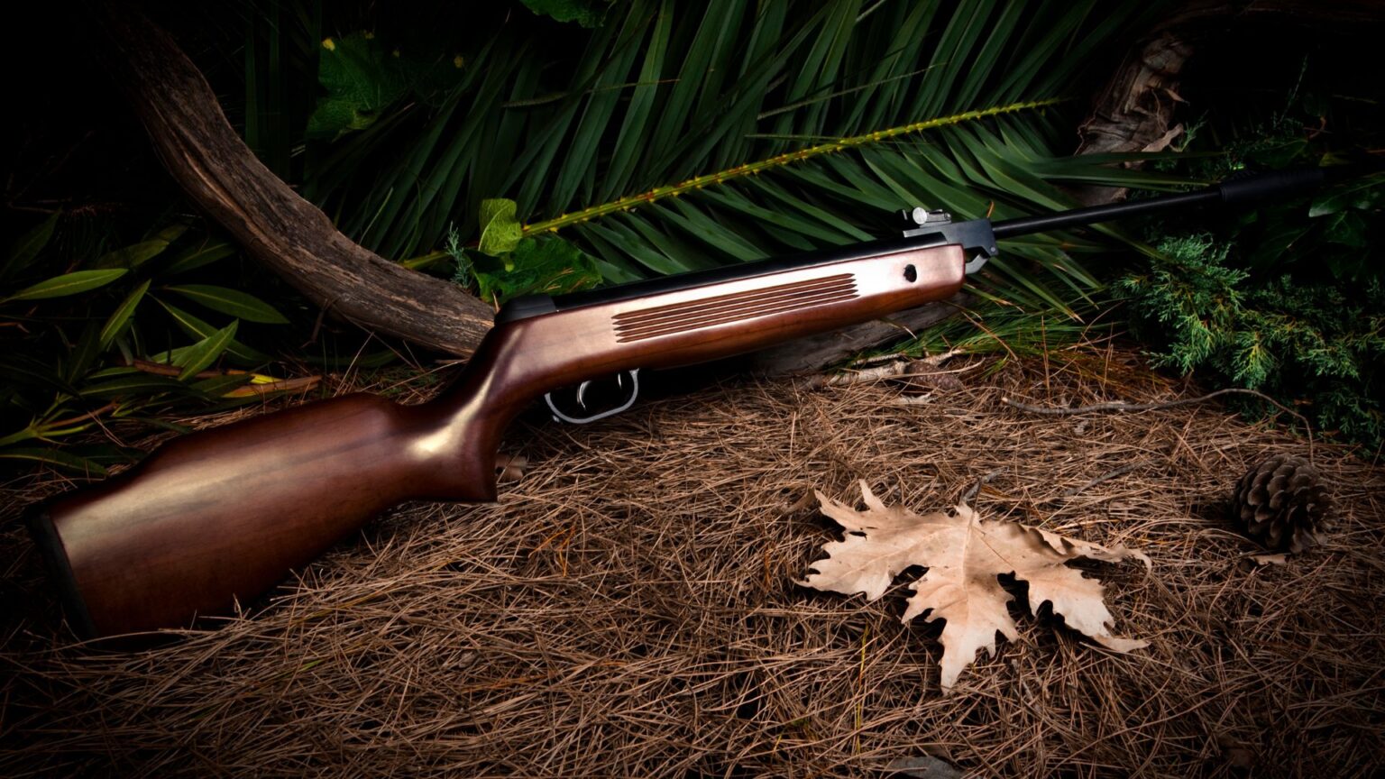 The Best Firearms For Hog Hunting - Green Line Arms